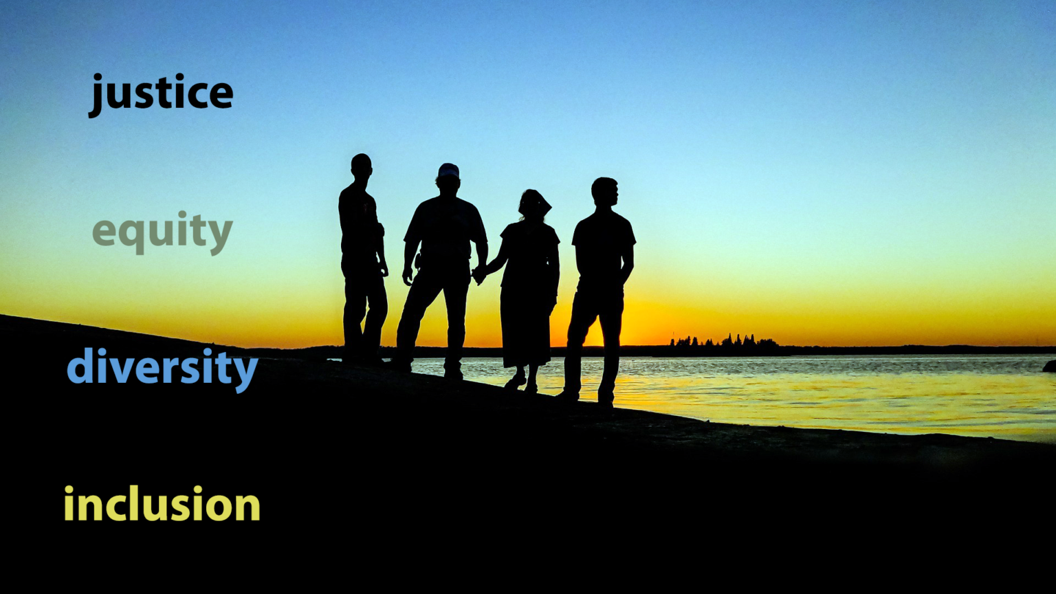 Justice, Equity, Diversity and Inclusion (JEDI) – North American Lake ...